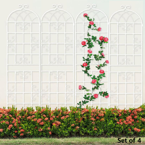 Red Barrel Studio® Trellis for Climbing Garden Plants, Heavy Duty Metal Rustproof Sturdy Plants ...